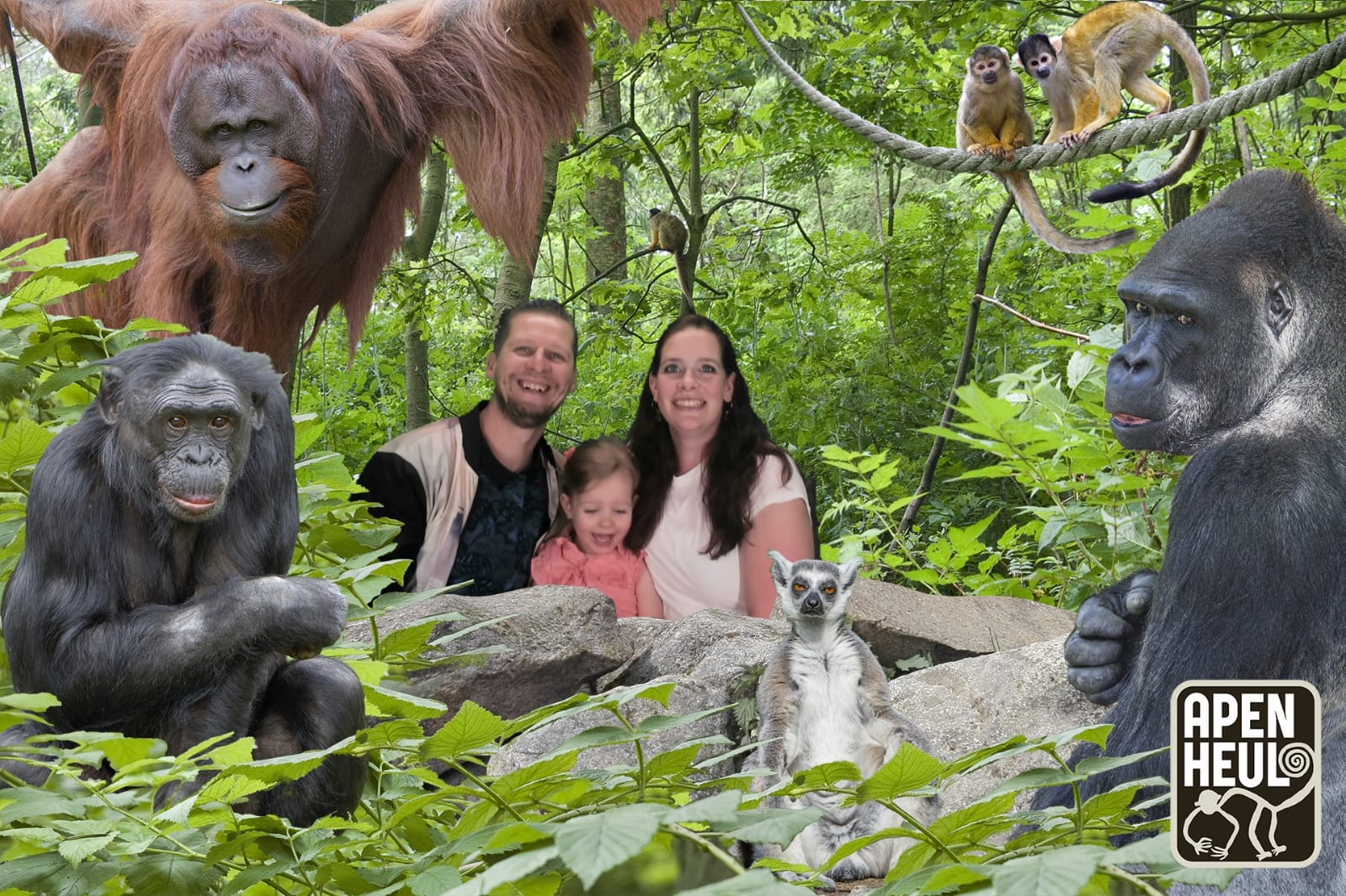 Apenheul coronaregels hoe zien de maatregelen eruit? Een uitleg