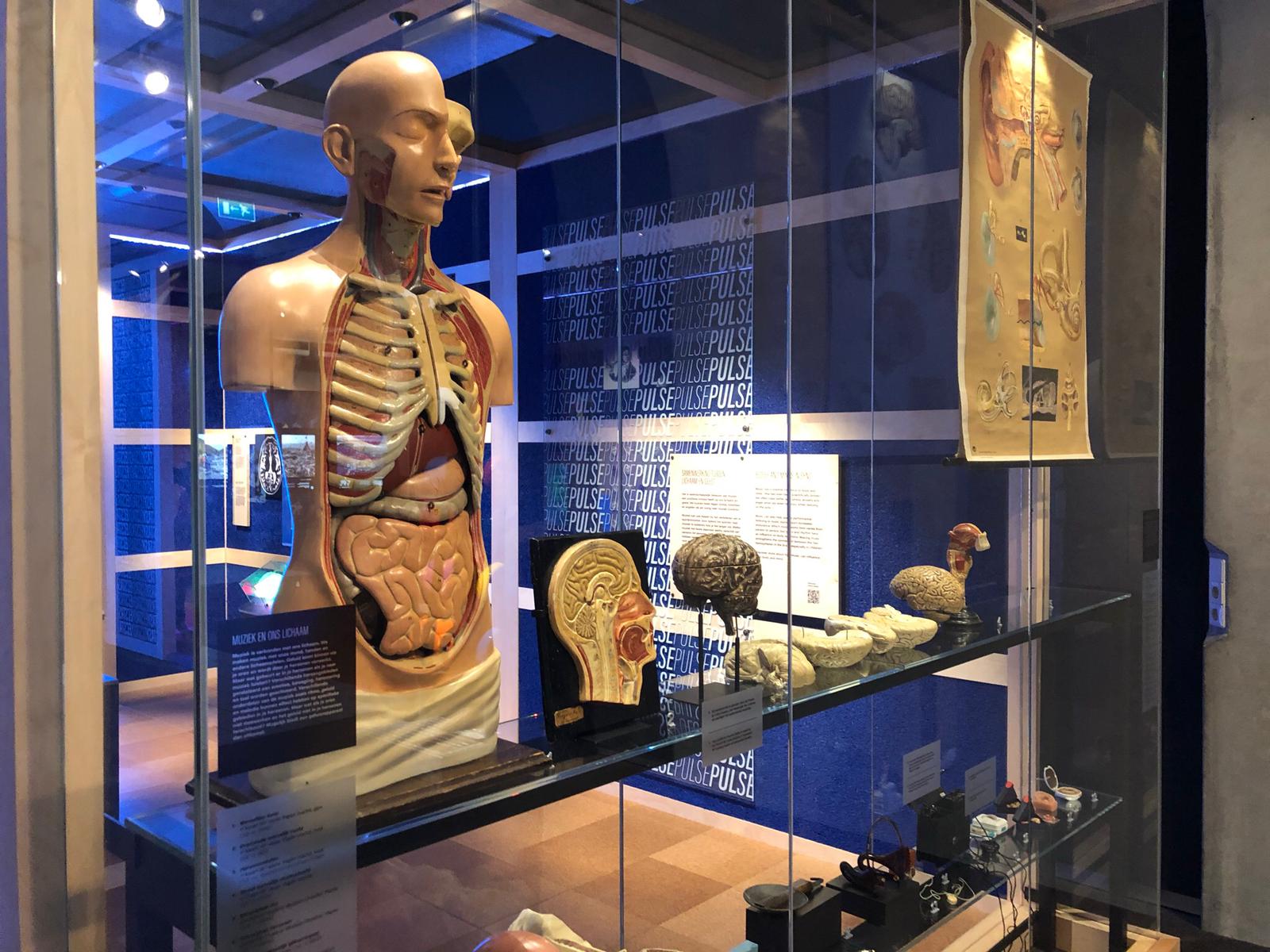 Music in het Museon Den Haag interactieve voorstelling in museum