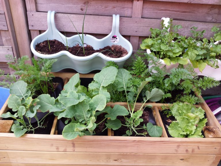 Een overdekt moestuintje in de tuin maken, hoe doe je dat? - MamaScrapelle