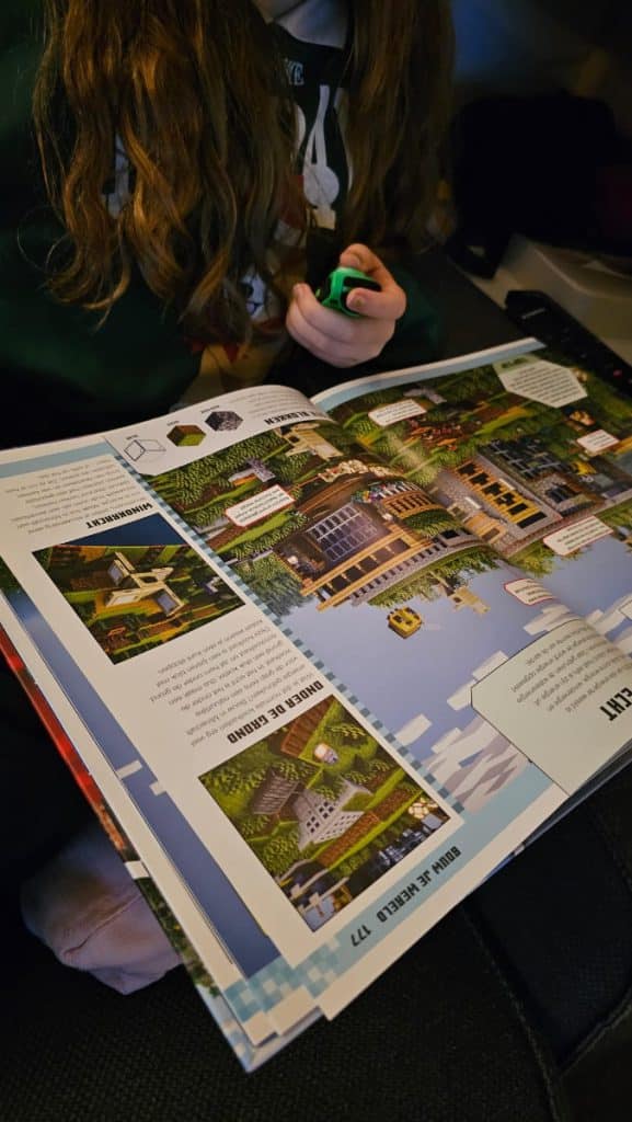 Groot Minecraft ideeën boek - een boek bomvol inspiratie - MamaScrapelle