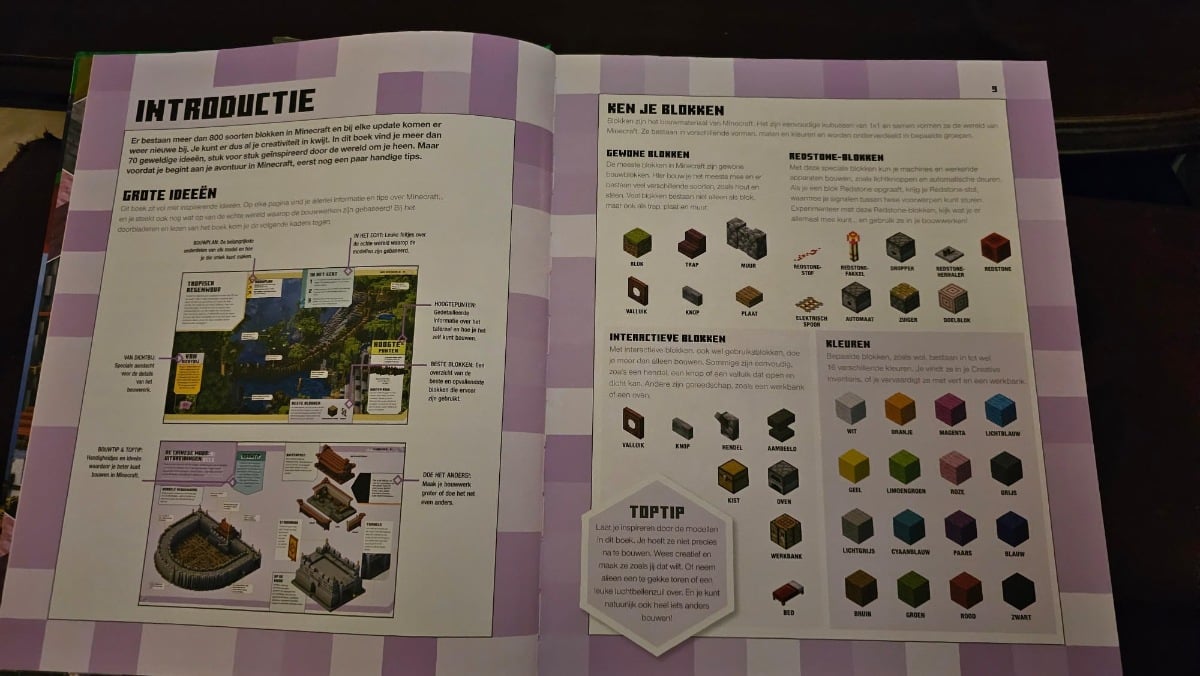 Groot Minecraft ideeën boek - een boek bomvol inspiratie - MamaScrapelle