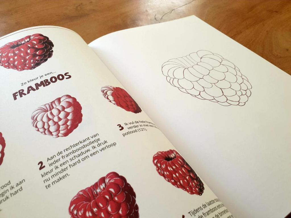 Kleur met Lieve Merlijn, een oefenboek vol handige tips - MamaScrapelle