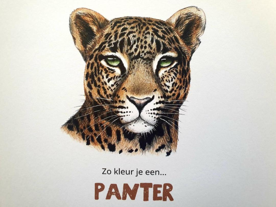 Kleur met Lieve Merlijn, een oefenboek vol handige tips - MamaScrapelle