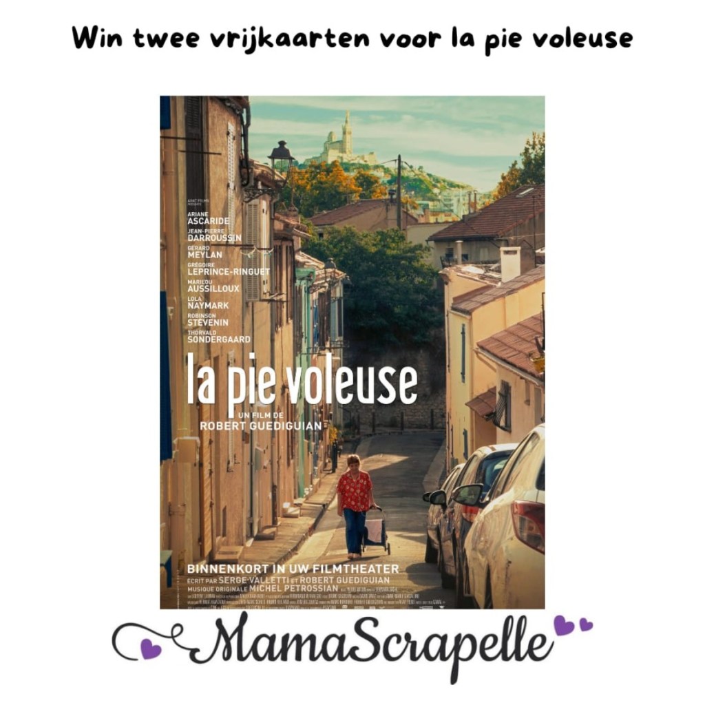 La Pie Voleuse, een film met een maatschappelijke ondertoon